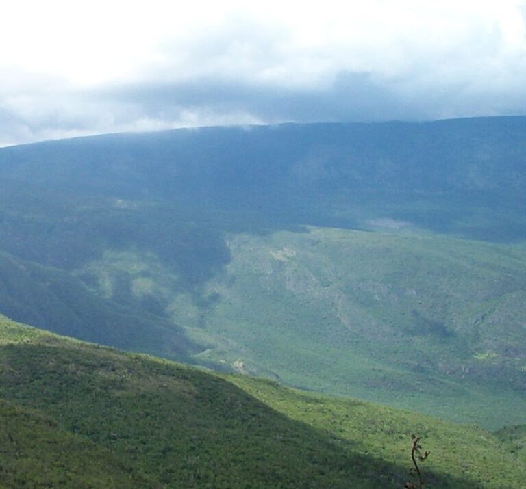 Bahoruco III